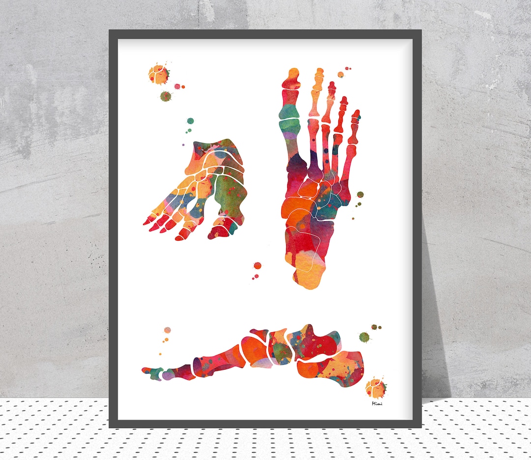 Foot Bones Watercolor Anatomy Print, Orthopedic Art - Etsy