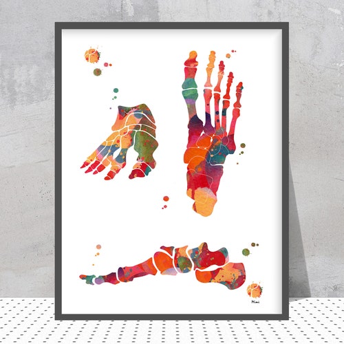 Foot Bones Anatomy Print Set of 6 Podiatry Art Medical Poster - Etsy