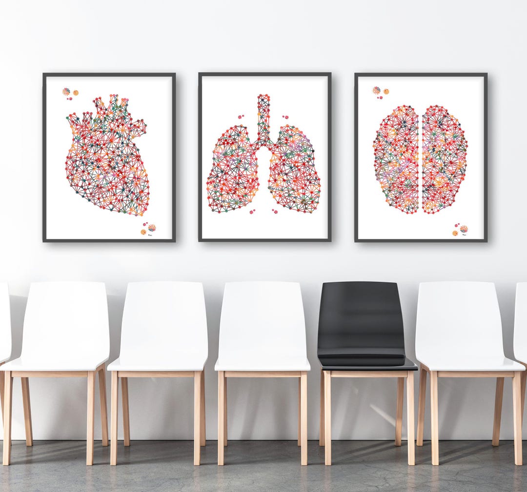 Anatomy Prints Set of 3 Medical Clinic Decor Discounted Set Heart ...