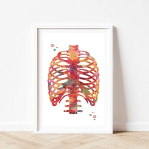 Rib Cage Watercolor Print Anatomy Art Thorax Poster Medical Art ...