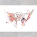 Sphenoid Bone Watercolor Print Medical Art Poster Cranium Bones Anatomy ...