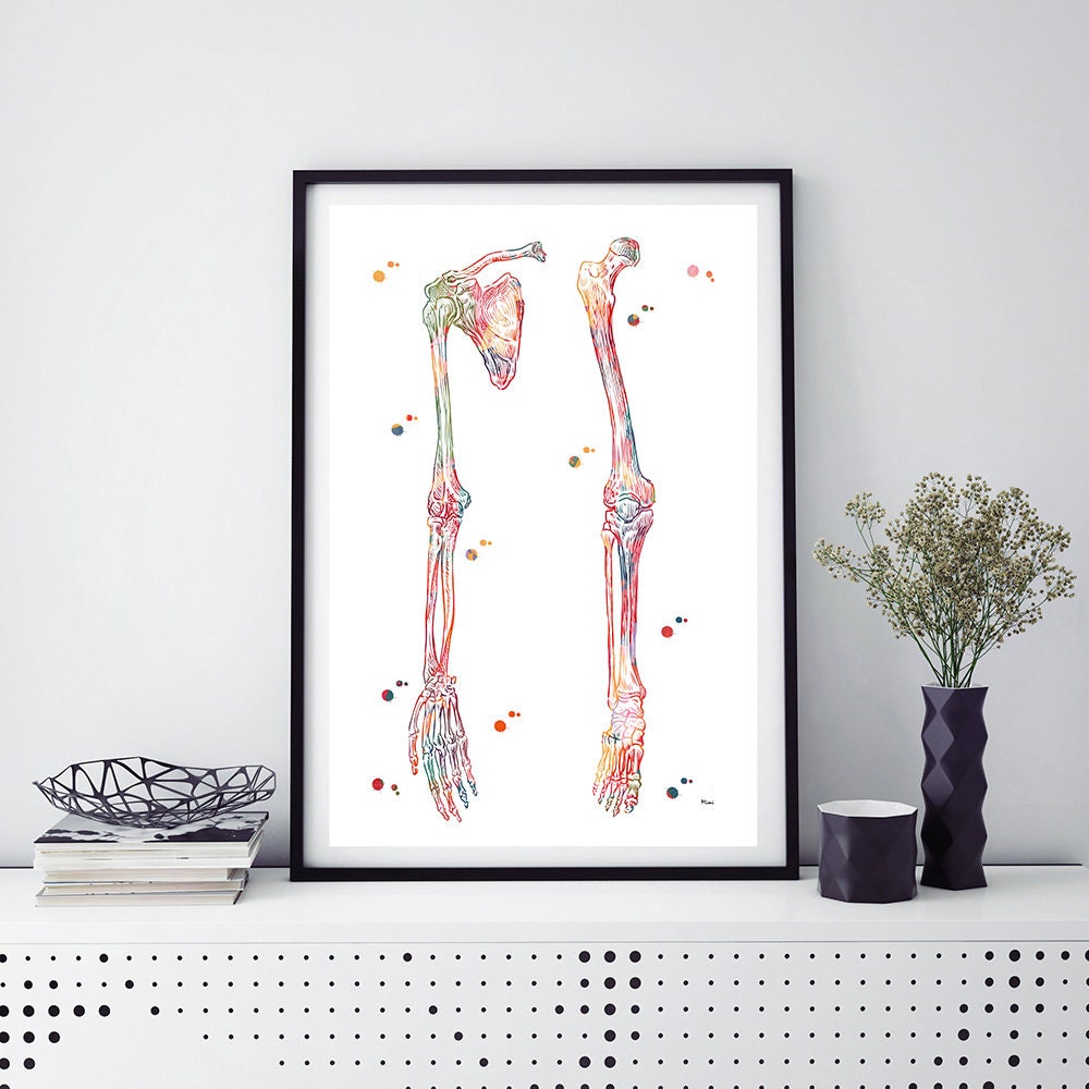 Upper Limbs and Leg Watercolor Print Anatomy Art Human Bones | Etsy