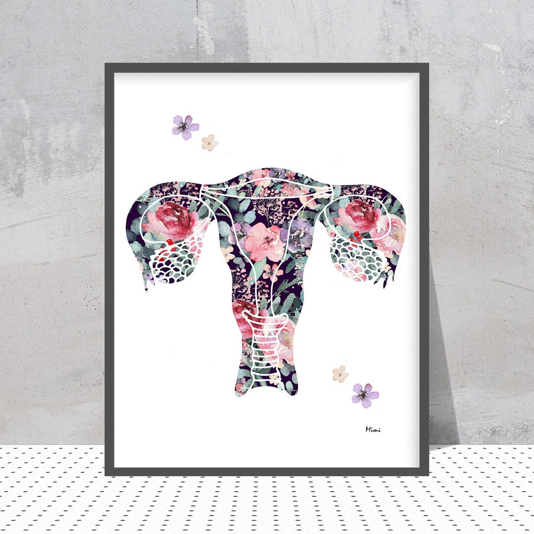 OB-GYN Print Female Reproductive System Uterus Anatomy With Delicate ...