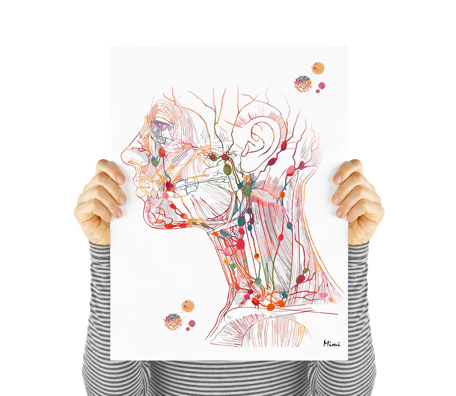 Head Lymph Nodes Print Lymphatic System Anatomy Poster Lymphatic ...