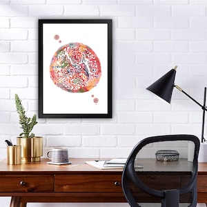 Fallopian Tube Histology Watercolor Print Female Reproductive System ...