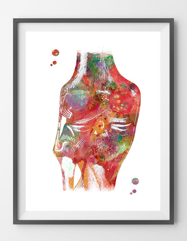 Knee Joints Medical Art Print Knee Ligaments and Tendons - Etsy