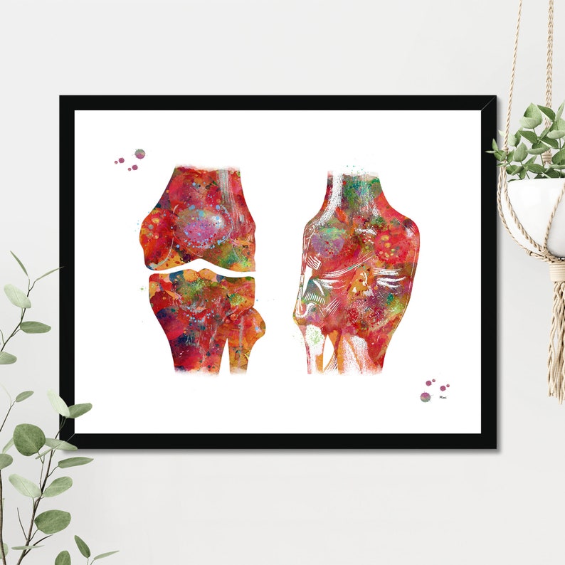 Knee Anatomy Watercolor Print Knee Joints Medical Art Knee - Etsy Canada