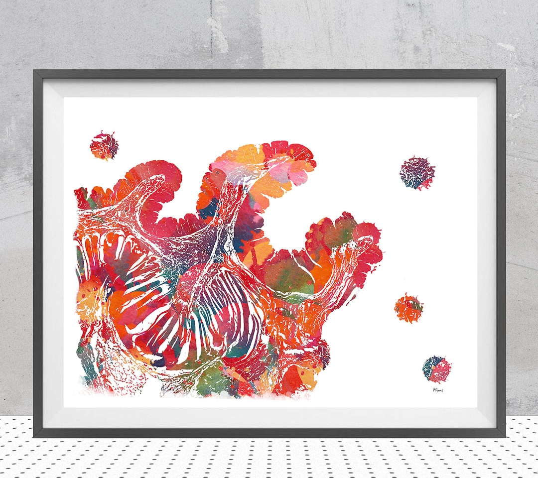 Colon Histology Watercolor Print Colon Mucosa Poster Microscopy View ...