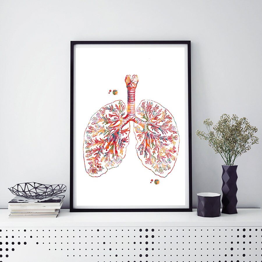 Anatomical Lungs Art Print Anatomy Art Alveolar Respiratory - Etsy