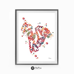 Albumin Protein Science Print Albumin Molecule Watercolor Print Albumin ...