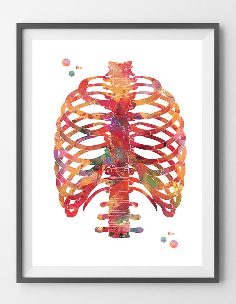 Rib cage watercolor print anatomy art thorax poster medical | Etsy