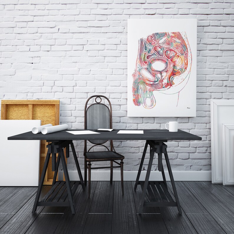 Male Reproductive System Anatomy Print Medical Art Urology - Etsy