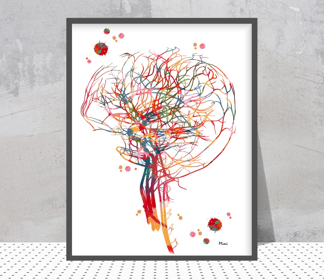 Brain Vascularization Print Cerebral Angiography Watercolor Angiology ...