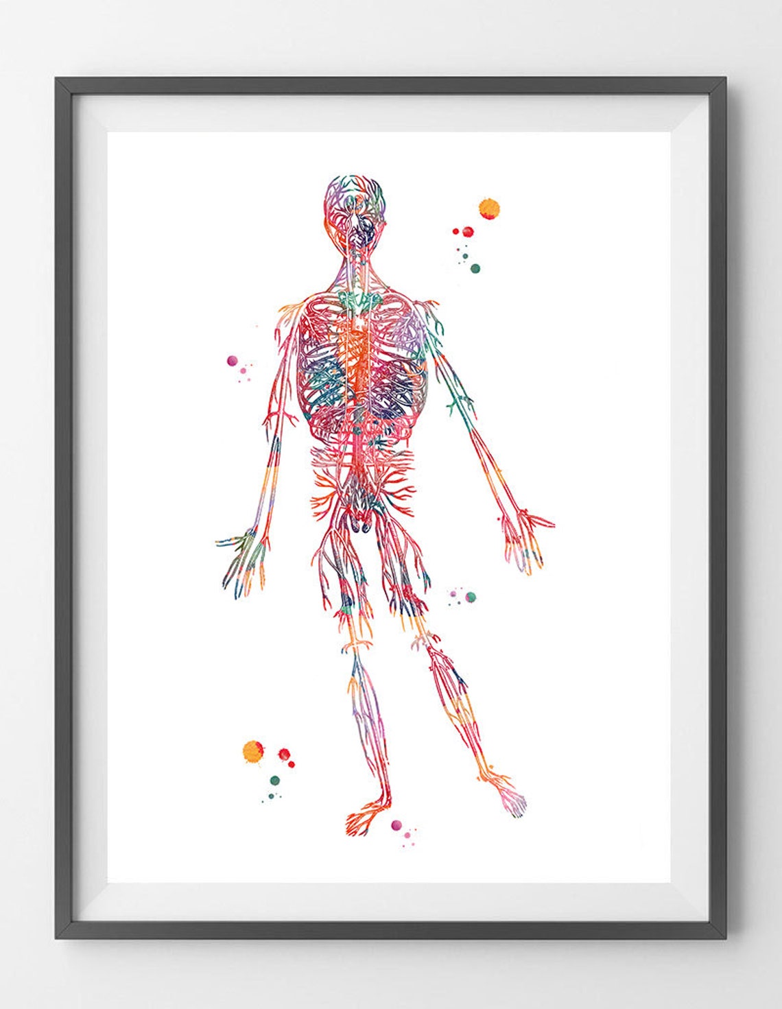 Human Circulatory System Arteries Watercolor Print Anatomy Art | Etsy