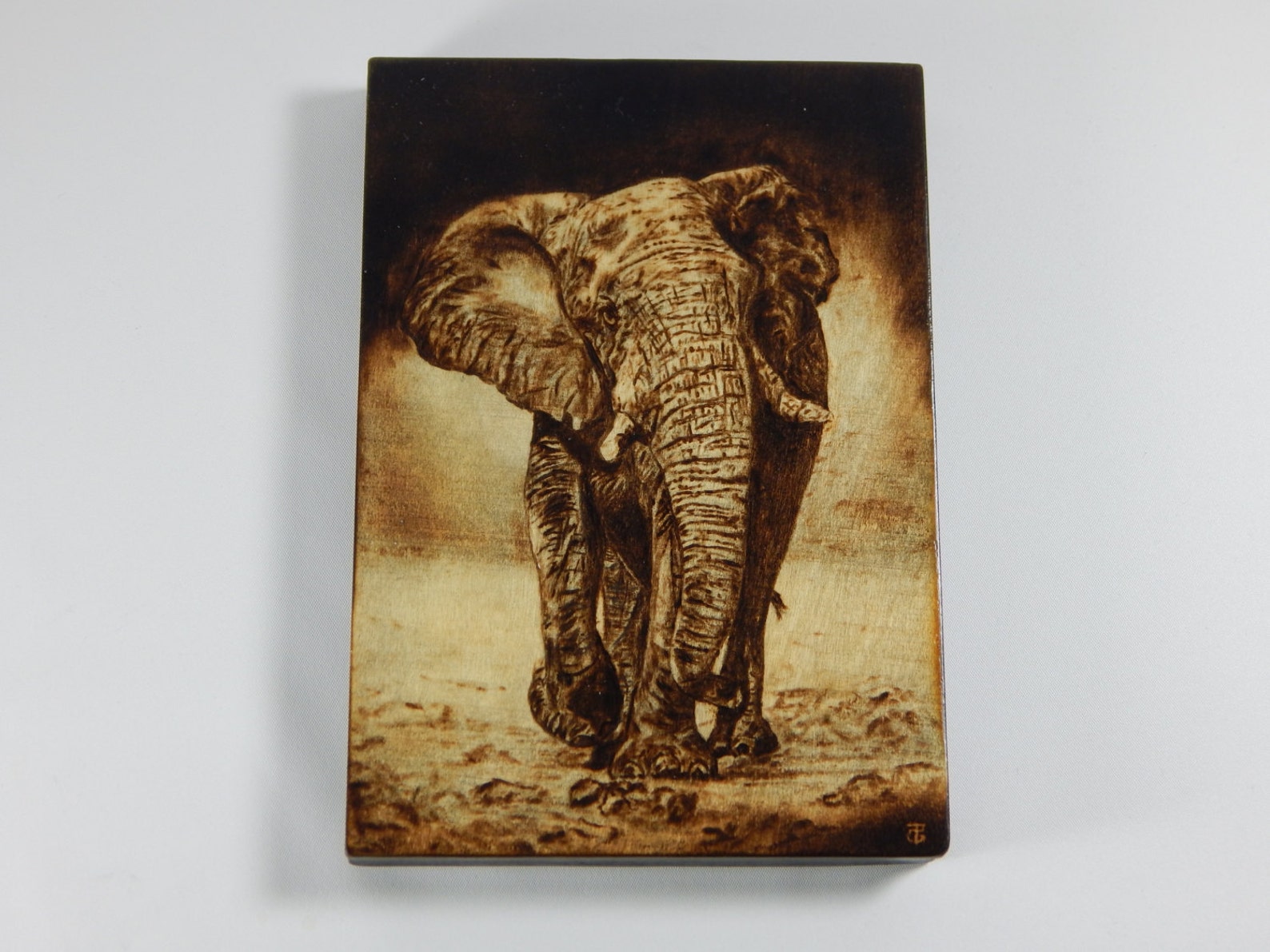 Hand Made Elephant, Pyrography, Wood Burn - Etsy