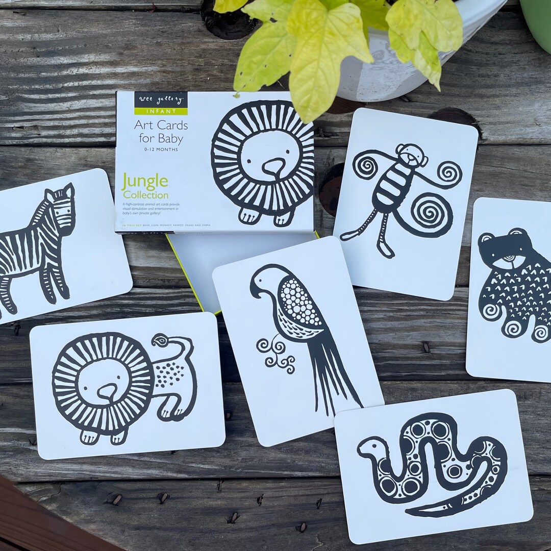 Wee Gallery Art Cards Jungle Black and White Infant Cards - Etsy