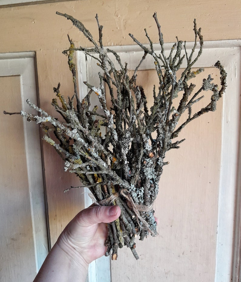 Decorative Twigs Set for Decor and Craft, Moss Covered Branches, Rustic ...