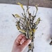 Decorative Twigs Set for Decor and Craft, Moss Covered Branches, Rustic ...