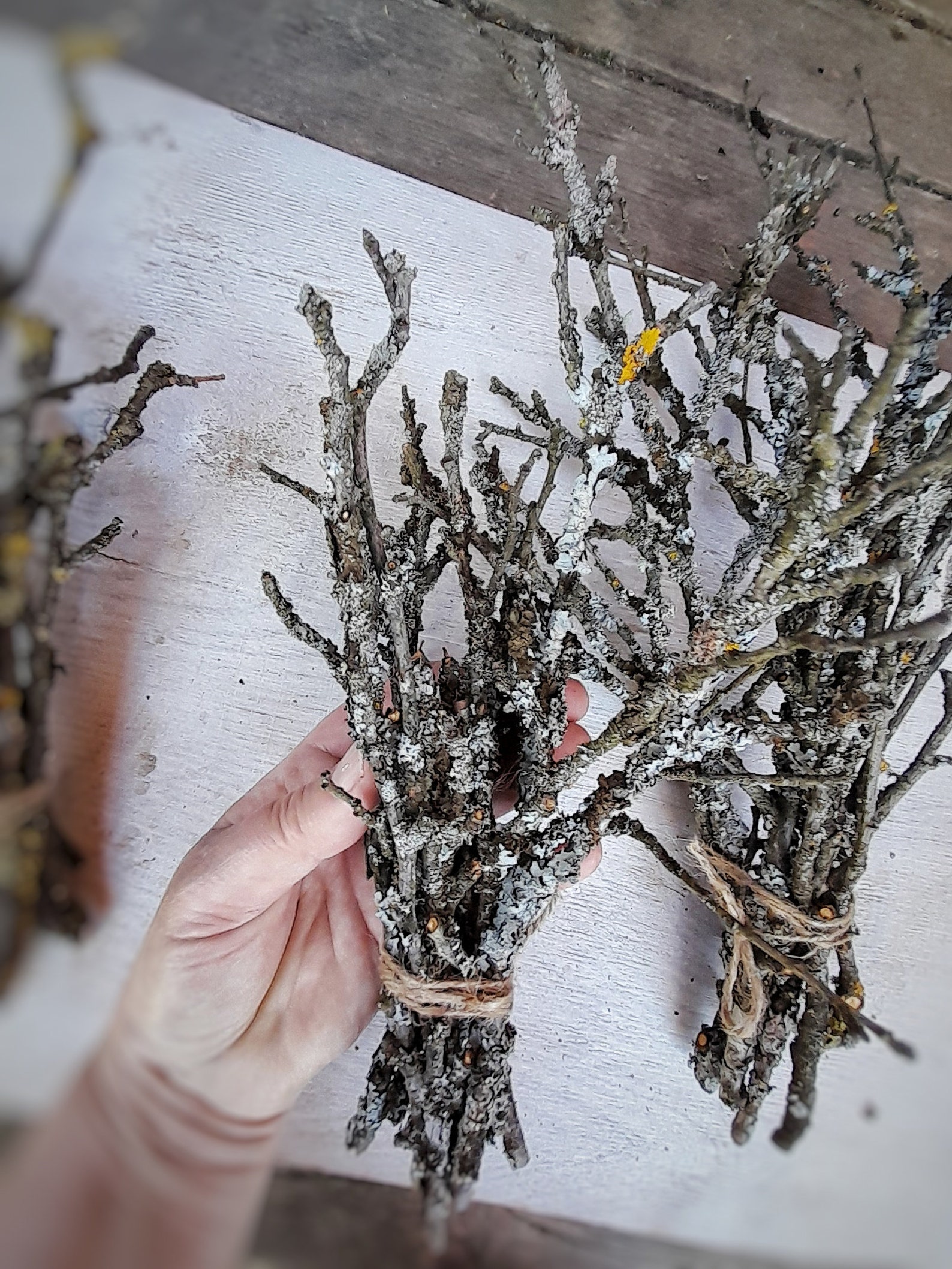 Decorative Twigs Set for Decor and Craft, Moss Covered Branches, Rustic ...