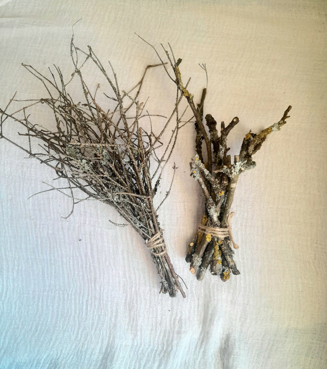 Decorative Twigs Set for Decor and Craft, Rustic Natural Craft Supplies ...