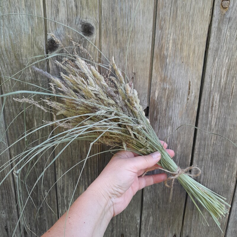 Dried Grass - Etsy
