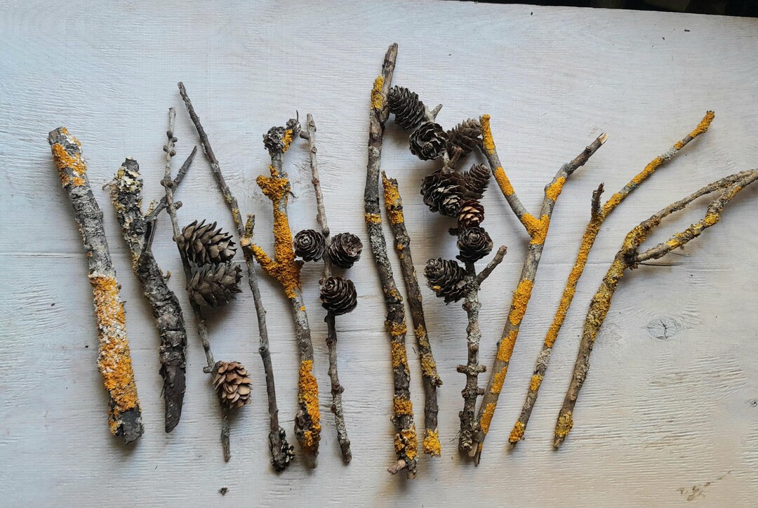 Decorative moss covered twigs bunch, branches decor, moss pinecones ...