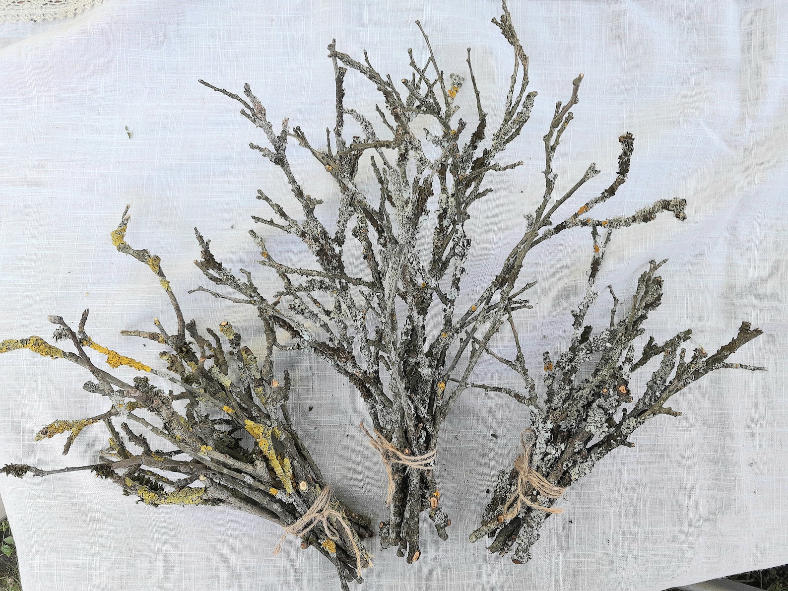 Decorative Twigs Set for Decor and Craft, Moss Covered Branches, Rustic ...