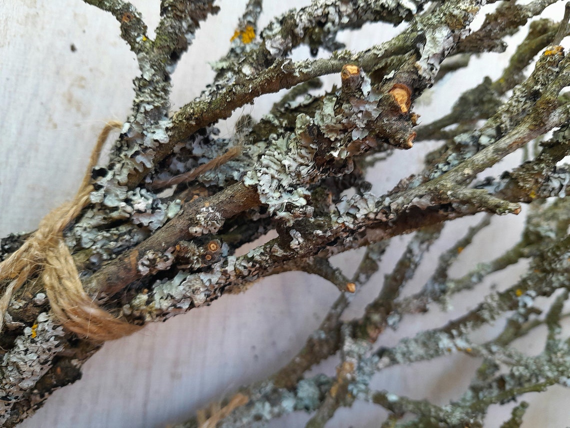 Decorative Twigs Set for Decor and Craft, Moss Covered Branches, Rustic ...