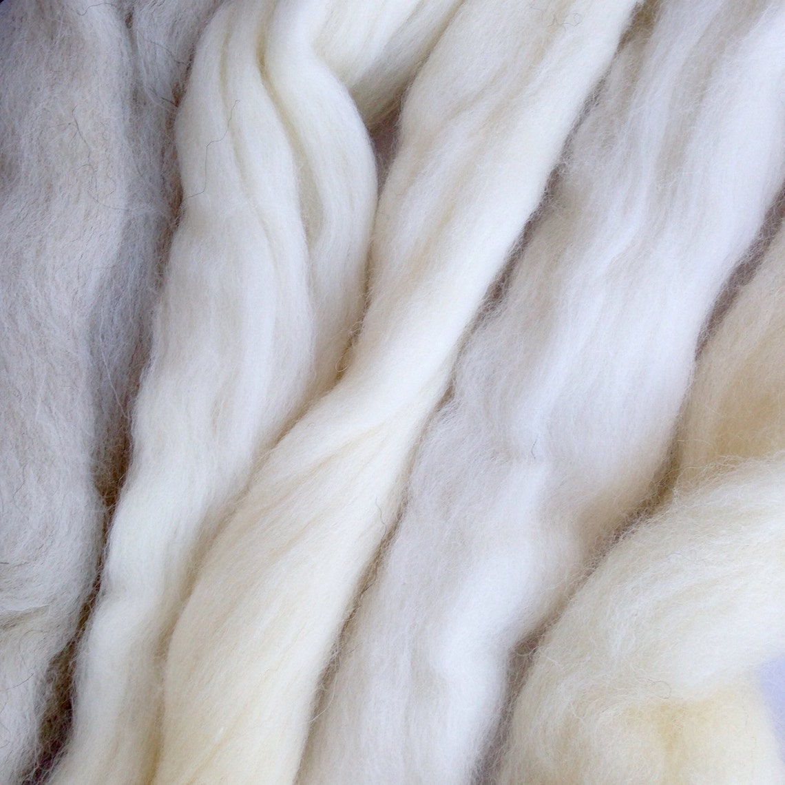 British Wool Tops 150g Sample Pack / Ecru White Cream / | Etsy