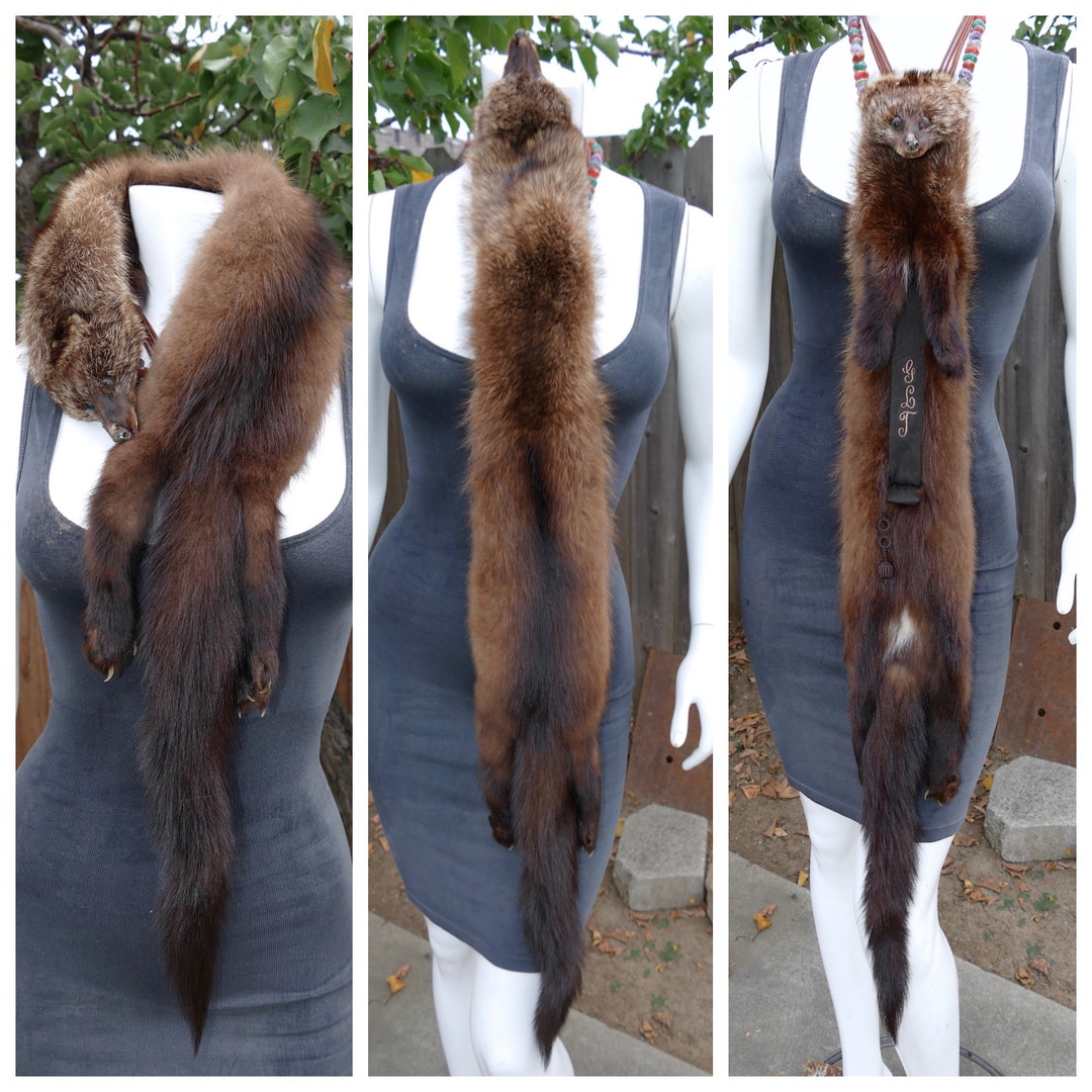 Genuine River Otter Fur Vintage Full Pelt Taxidermy 42 - Etsy