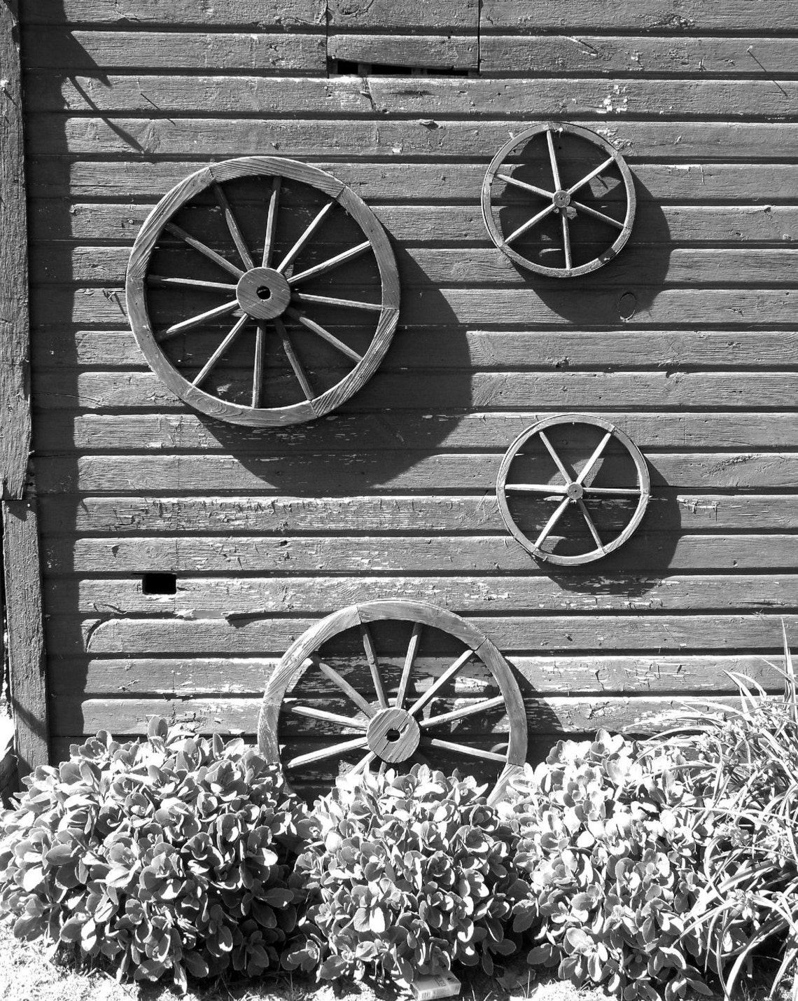 RUSTIC WAGON Wheels-fine Art Print, Farm Photography, Barns, Old Barn ...