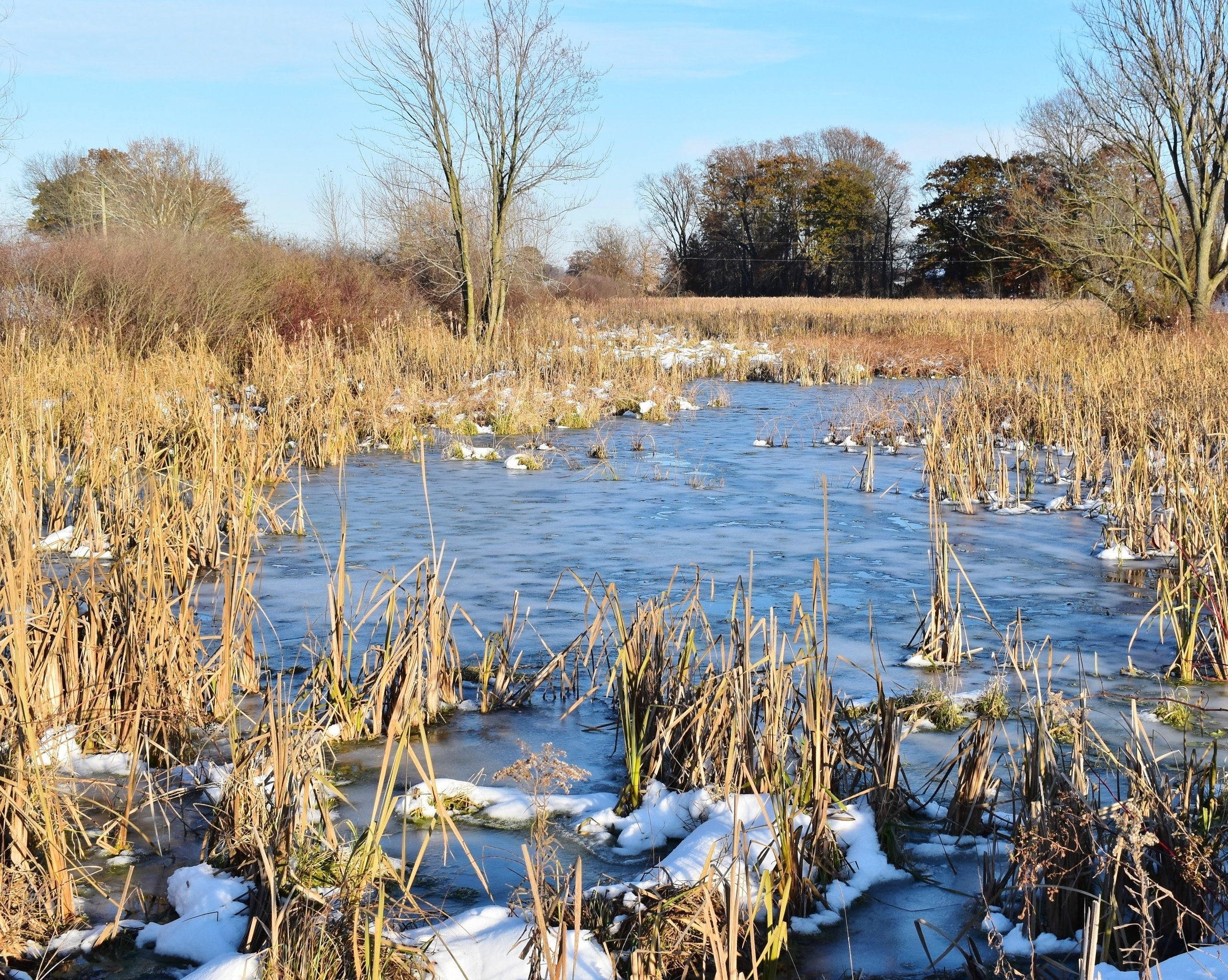 MARSH IN Winter-fine Art Print Nature Photography Winter - Etsy