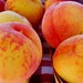 PEACHES MINI Print-farm to Table Kitchen Decor Restaurant - Etsy