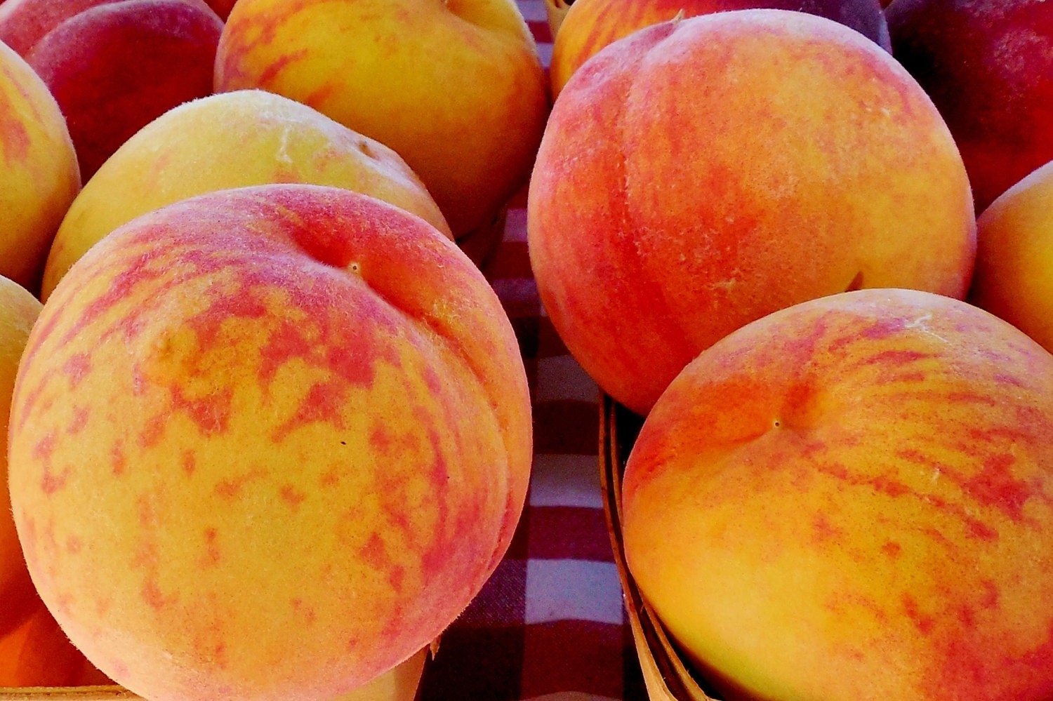 PEACHES MINI Print-farm to Table Kitchen Decor Restaurant - Etsy