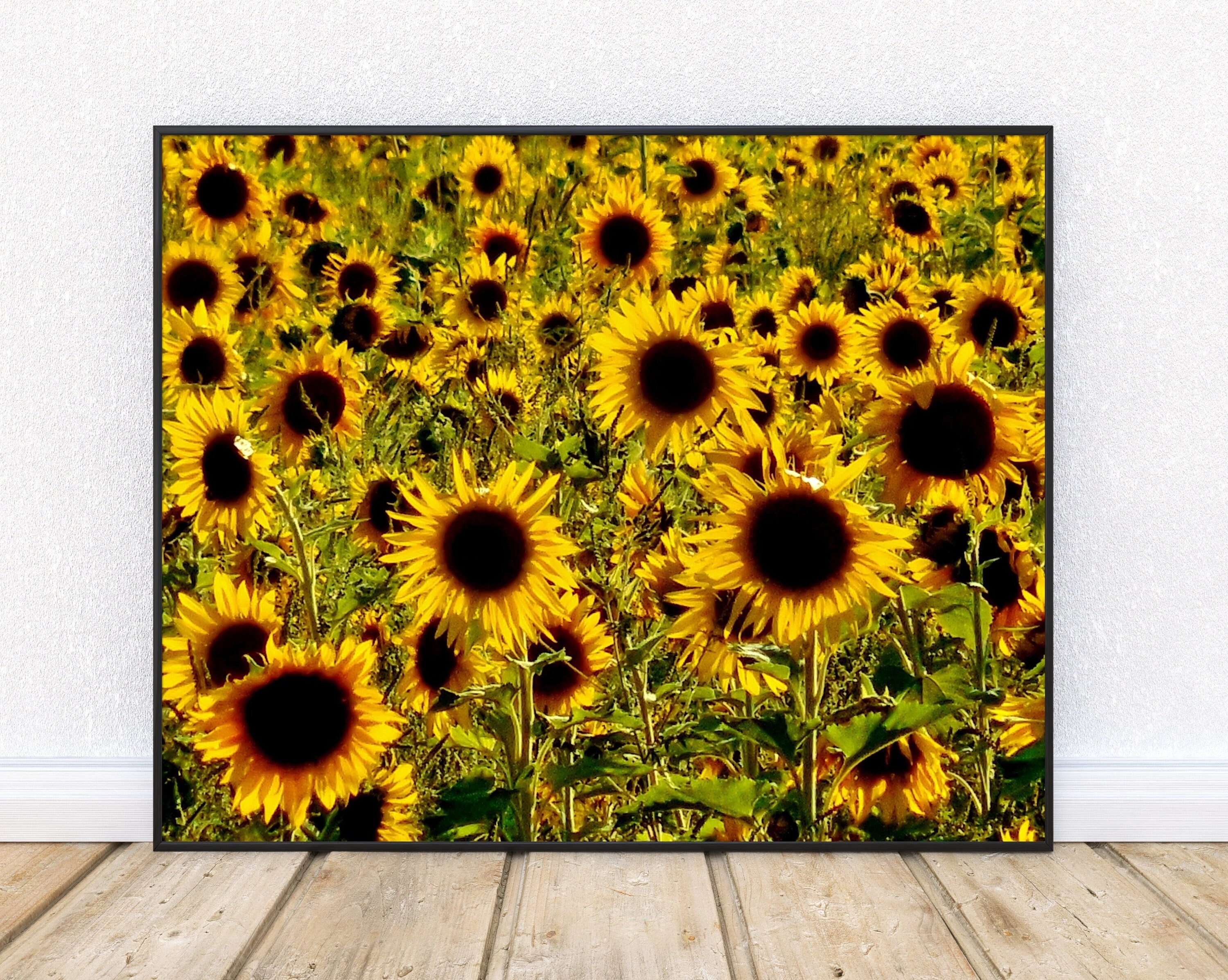 Sunflower field Print Giclée Art & Collectibles Prints etna.com.pe