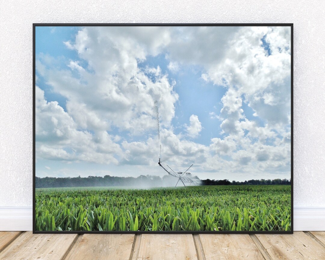 FARM IN Summer-fine Art Print, Corn Field, Farm Photography, Farmhouse ...