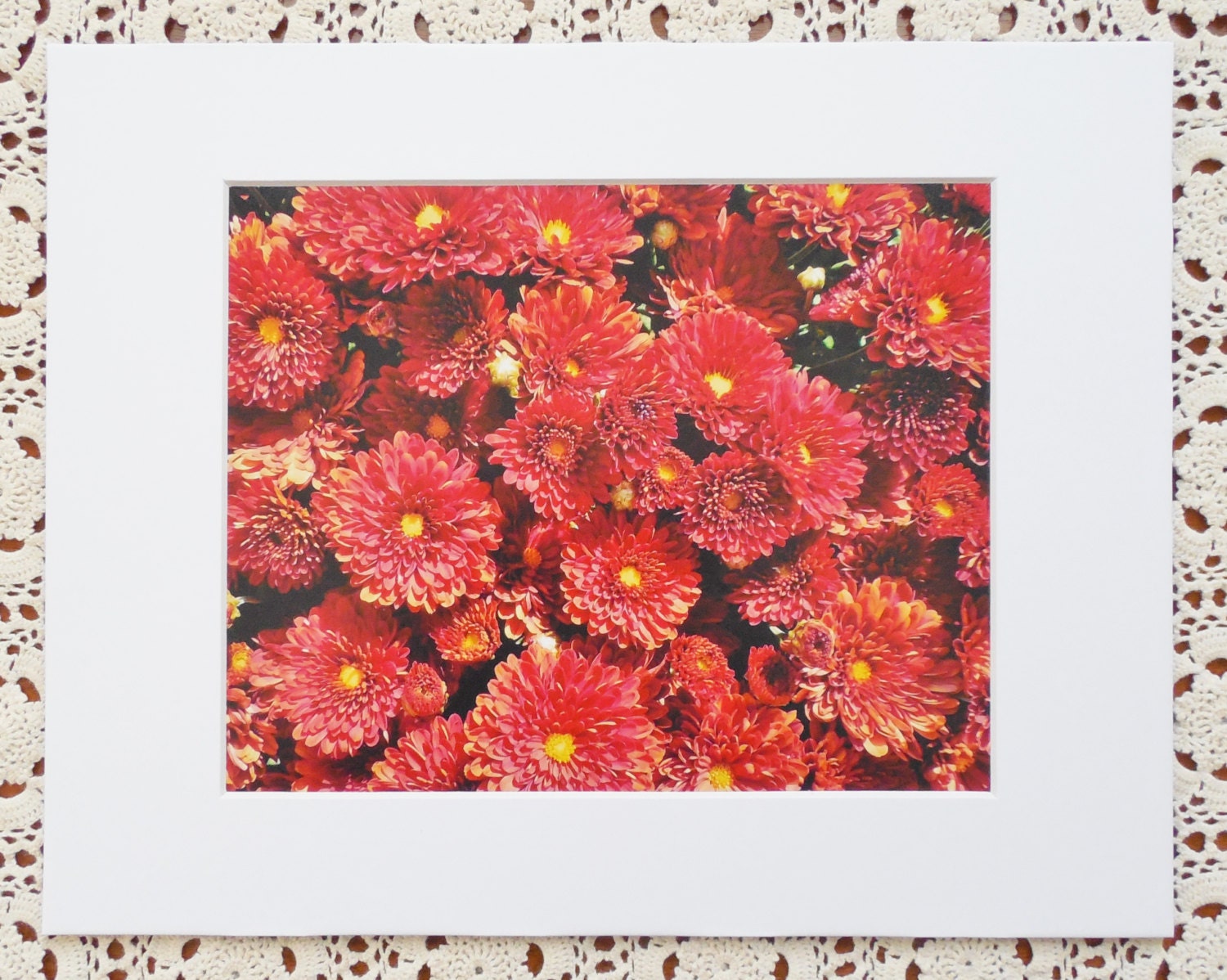 FARM MARKET MUMS in Rust-fine Art Print, Farm Photography, Fall Mums ...