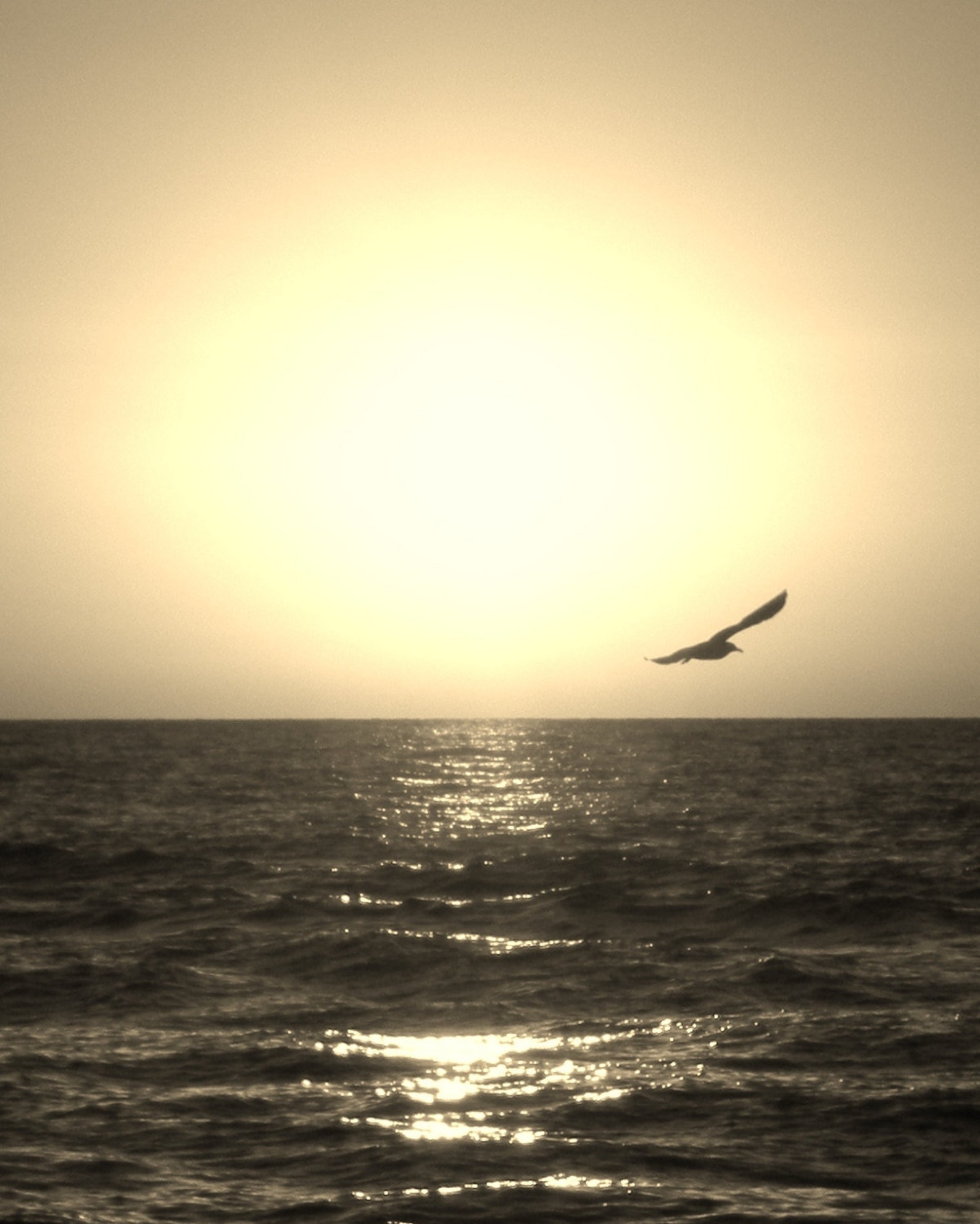 Sunset-fine Art Print, Beach Photography, Beach Decor, Lake Michigan ...