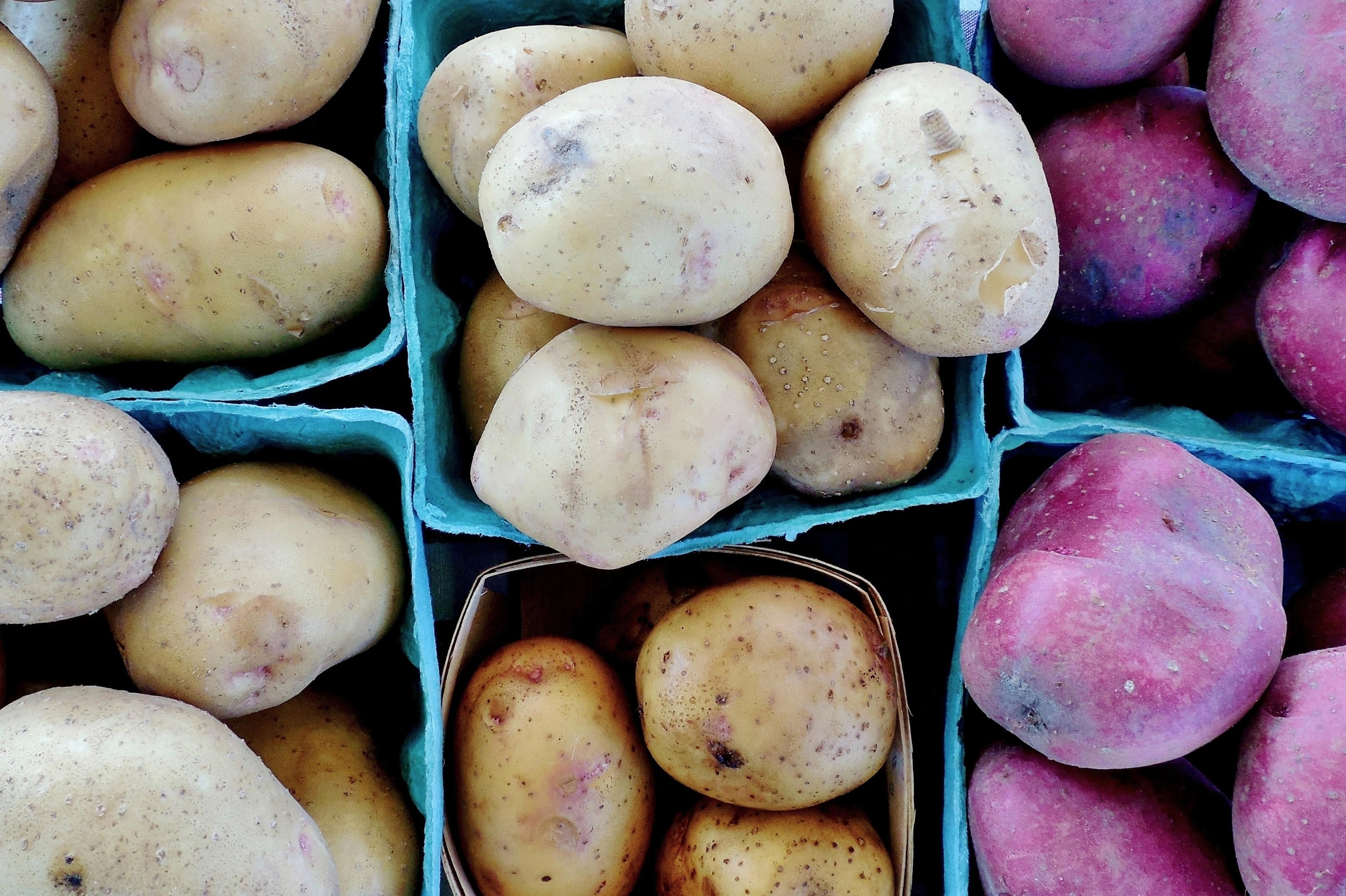 VEGGIE PRINTS Ensemble-fine Art Prints, Kitchen Decor, Restaurant Decor ...