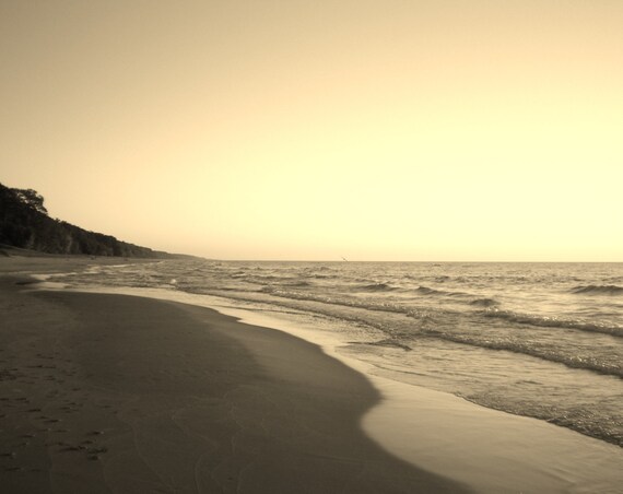 Sepia Beach Cover