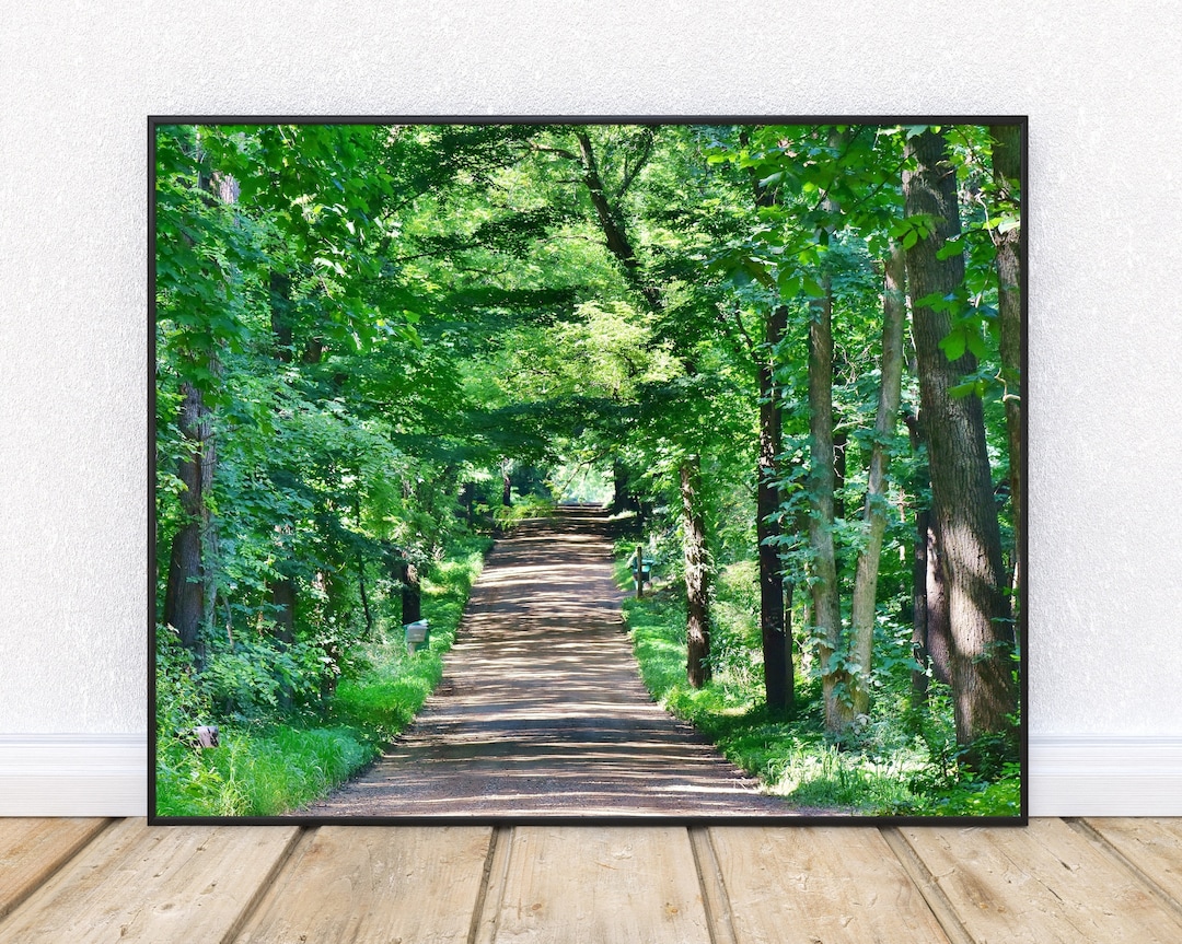 COUNTRY Road-fine Art Print, Dirt Roads, Back Roads, Country Roads ...
