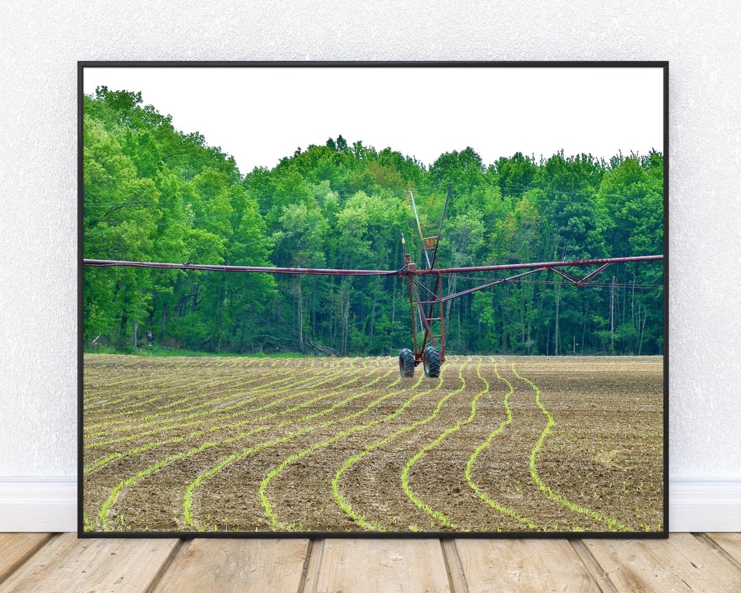 FARM IN Spring-fine Art Print, Corn Field, Farm Photography, Farmhouse ...