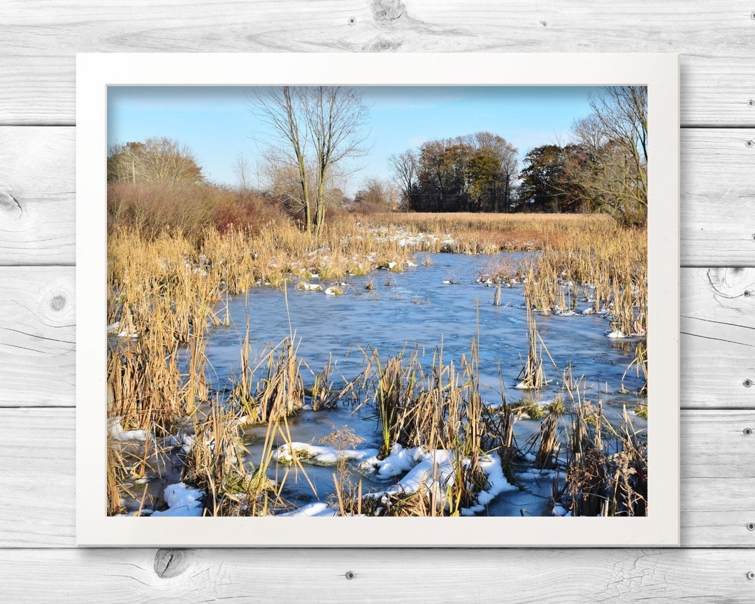 MARSH IN Winter-fine Art Print Nature Photography Winter - Etsy