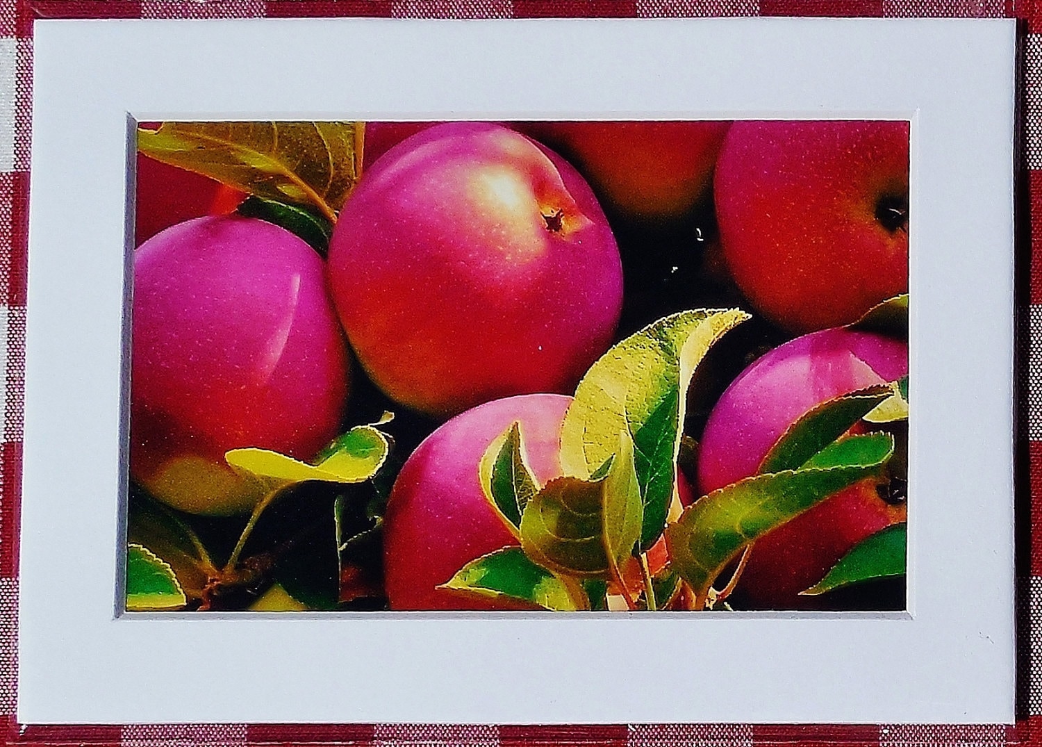 APPLES MINI Print-fine Art Print Kitchen Decor Restaurant - Etsy