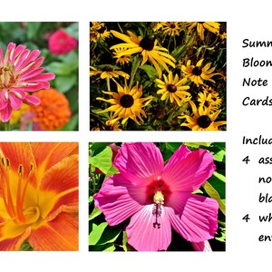 SUMMER BLOOMS Note Cards-note Card Set, Stationery, Blank Cards, Thank ...