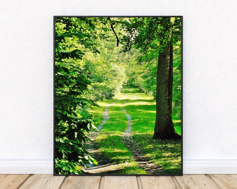 FARM Lane-fine Art Print, Farm Photography, Country Decor, Farmhouse ...