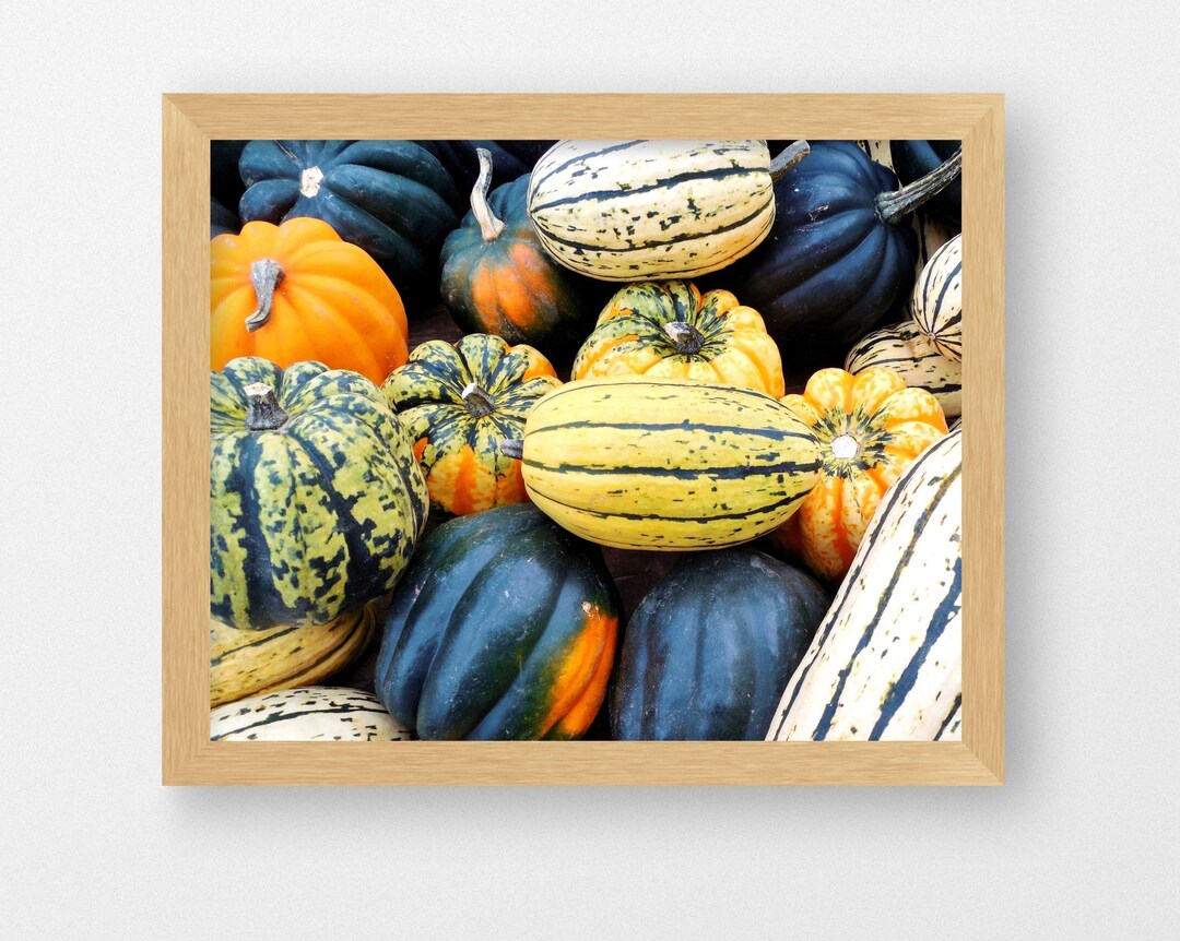 FARM MARKET Squashfarm Photography, Michigan Photography, Fall Squash ...