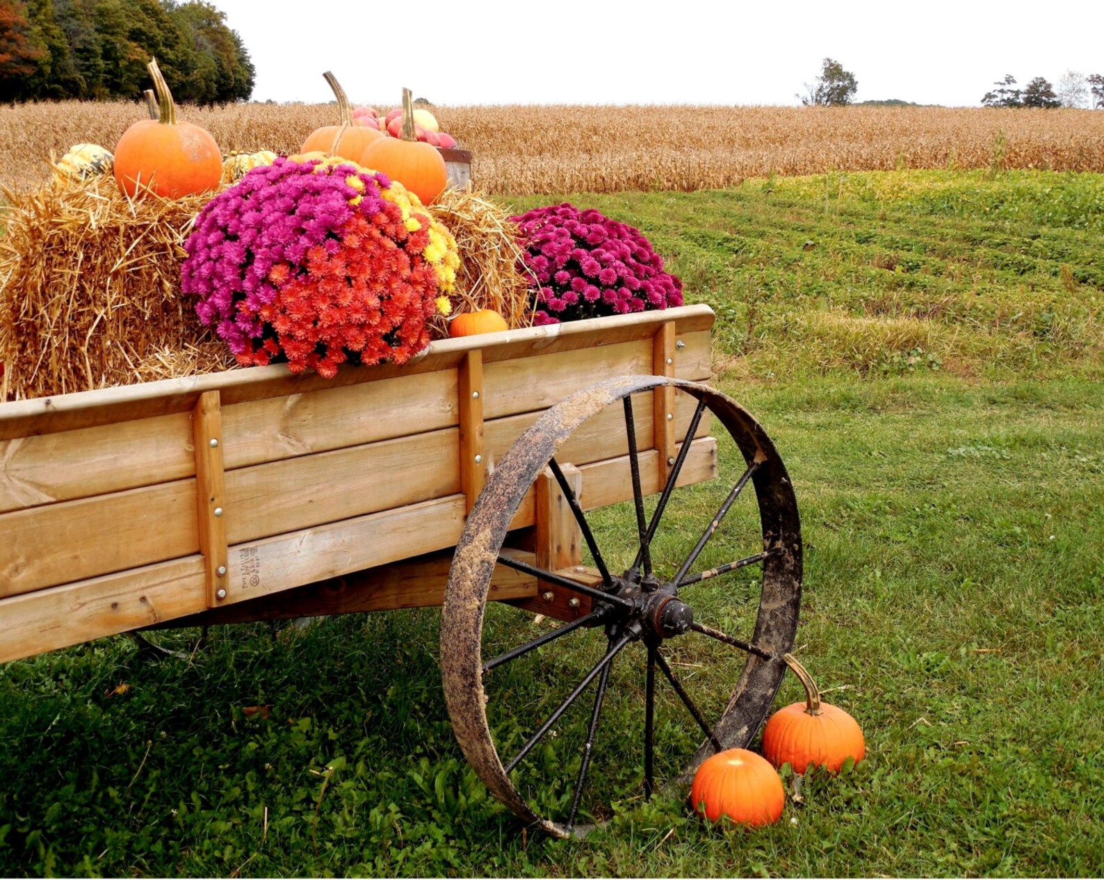 FALL on the Farmfarm Photography Michigan Photography Fall - Etsy
