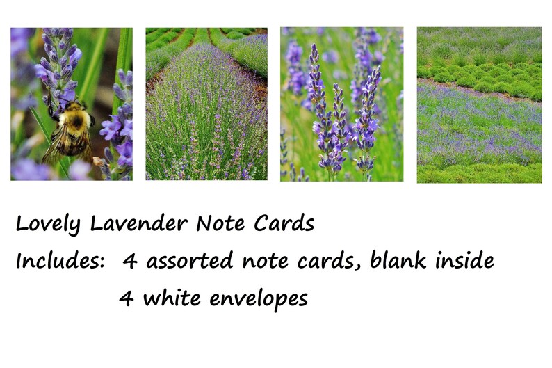 LOVELY LAVENDER Note Cardsnote Card Set Lavender Cards - Etsy