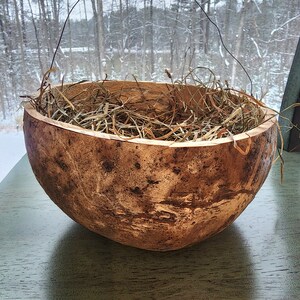 DIY Forest Crafting Kit, Craft Lovers Gift, Unique Decor Kits - Etsy